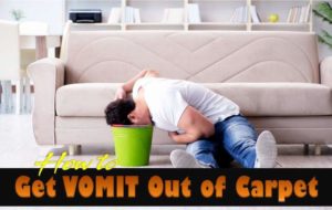 How to Get Vomit Out of Carpet (Easy Step-By-Step Guide) - Household Advice