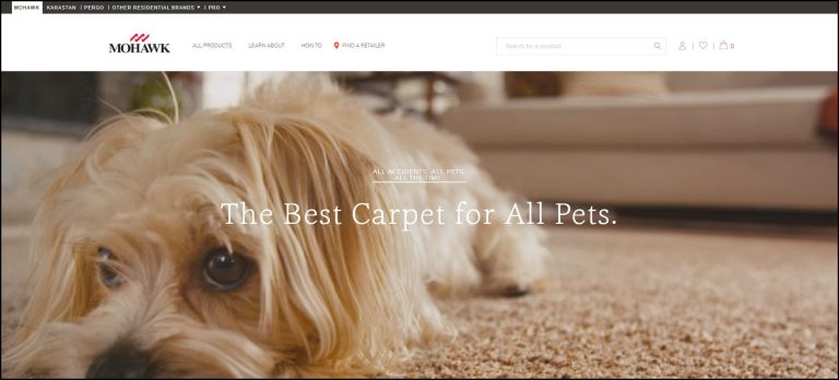 Best Carpet For Pets 2026: A Full Brand Guide - Household Advice
