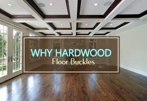 Hardwood Floor Buckling From Water Damage? Fix Warped Wood - Household ...
